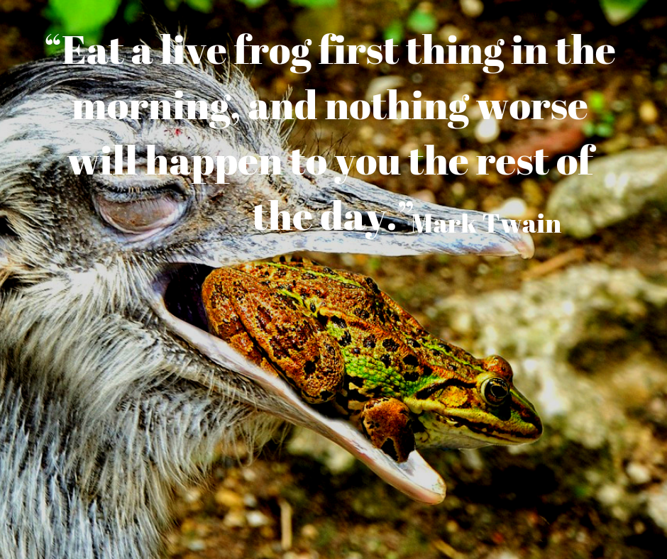 “Eat a live frog first thing in the morning, and nothing worse will ...