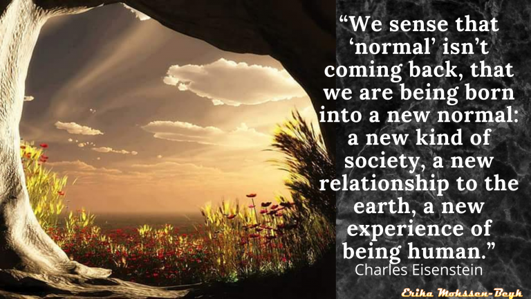 What Is The New Normal?